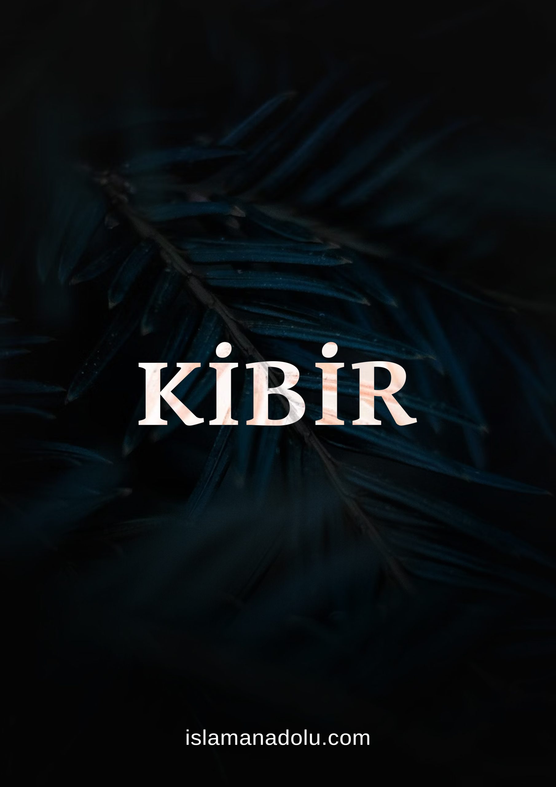 12. KİBİR. MUTLULUĞUN ANAHTARI - İslam Anadolu